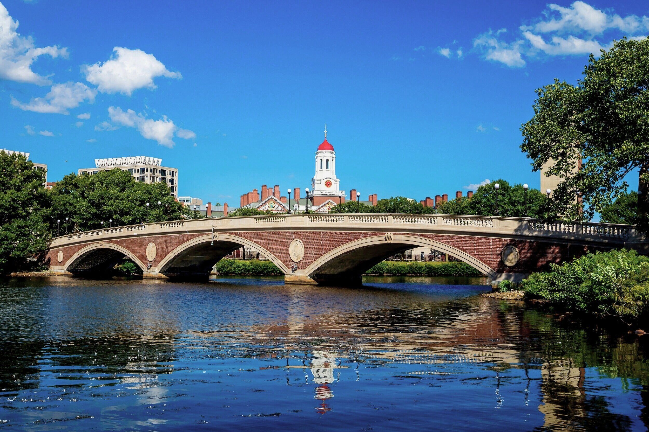 Harvard Undergraduate Council